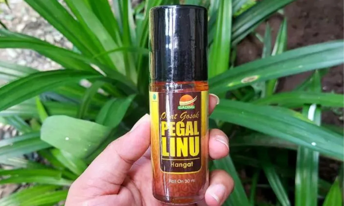 Safe Care Blog | Rekomendasi Minyak untuk Badan Pegal